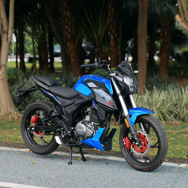 CH169-31E Off Road Motorcycle Two Wheeled Motorcycle Motorcycle ...