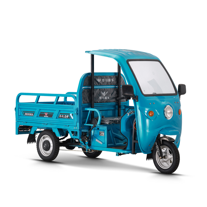 CH-K019 Cargo Tricycle Electric Tricycles Tricycle for Adult from China ...